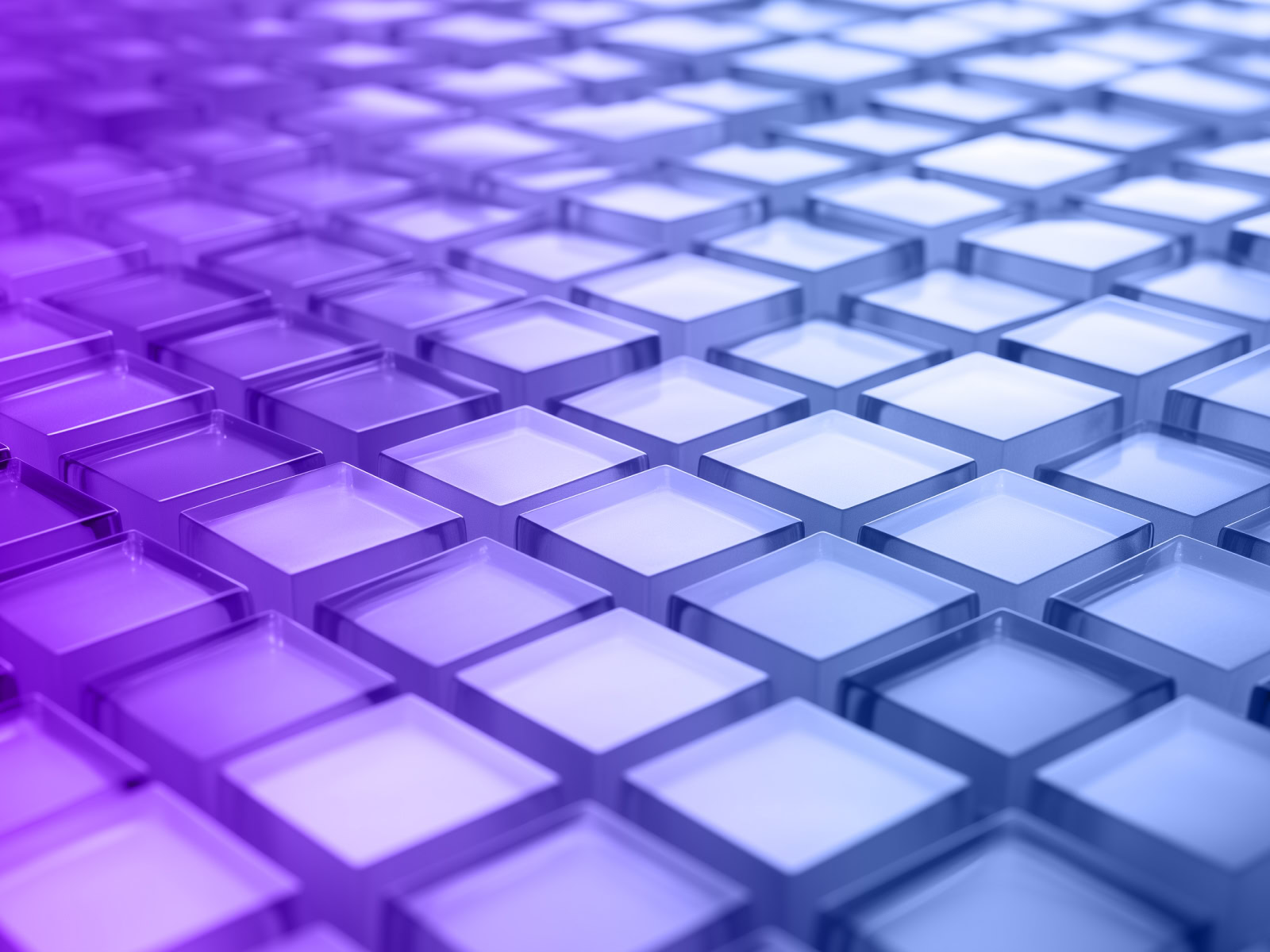 Designing For Accessibility A Guide For Modern Businesses Storm Brain