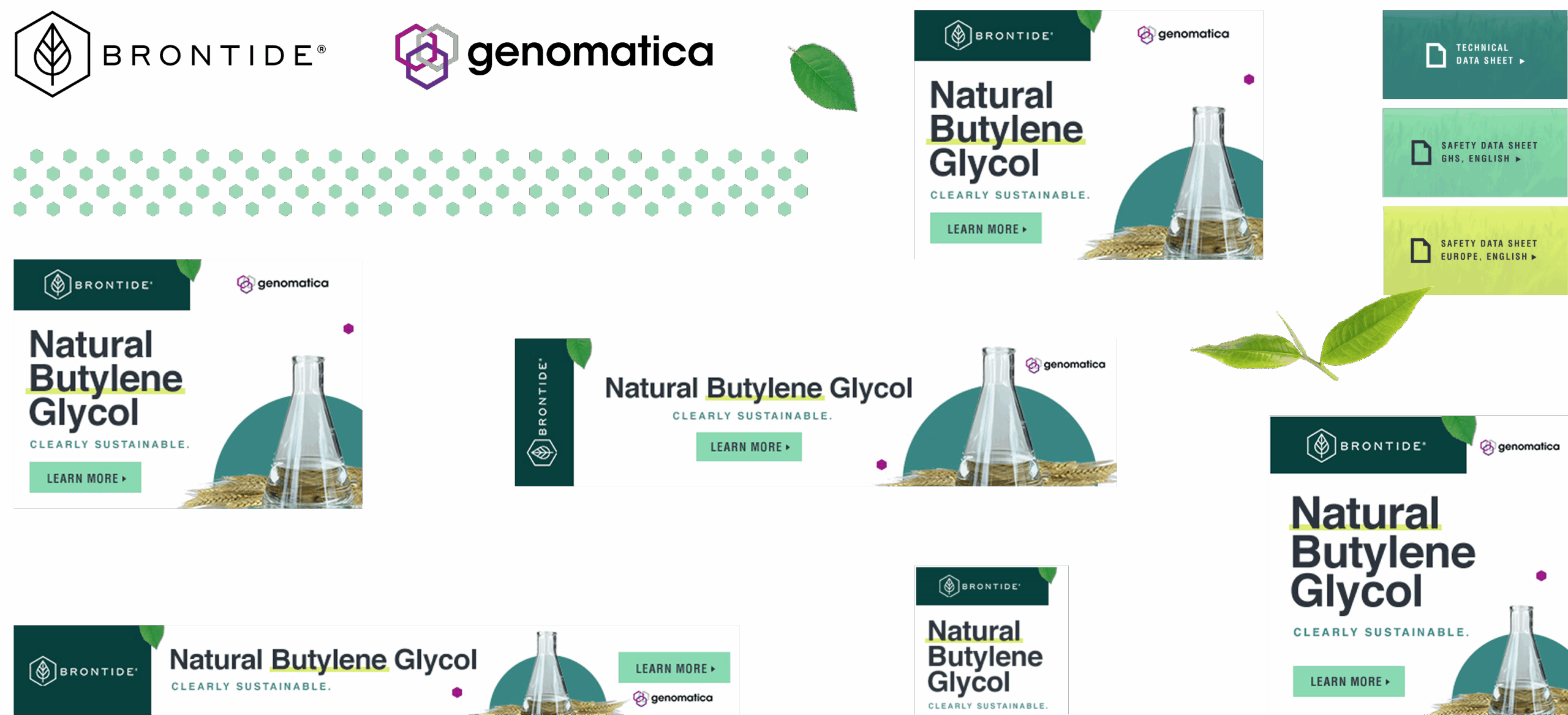 Brontide – Sustainable Biotech Web Development by Storm Brain