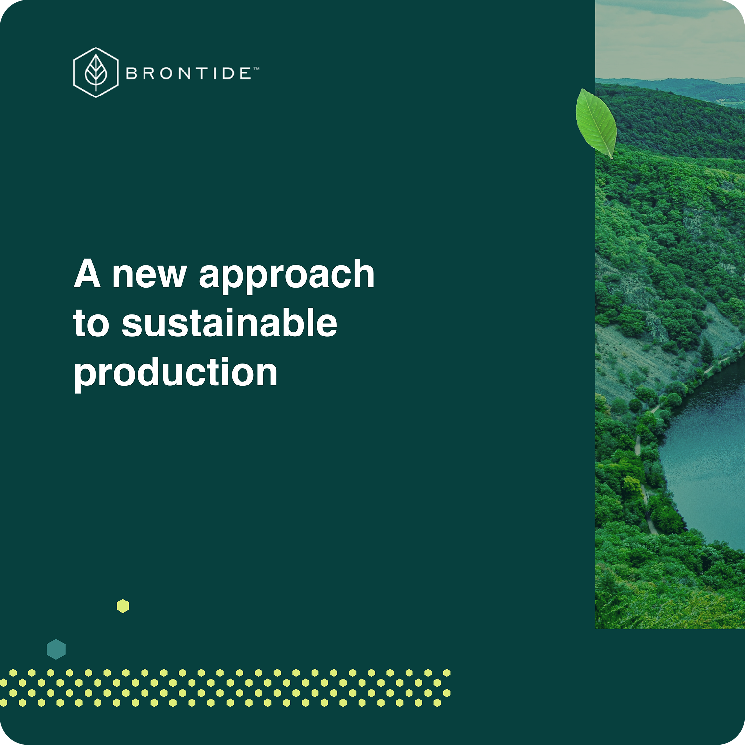 Brontide – Sustainable Biotech Web Development by Storm Brain