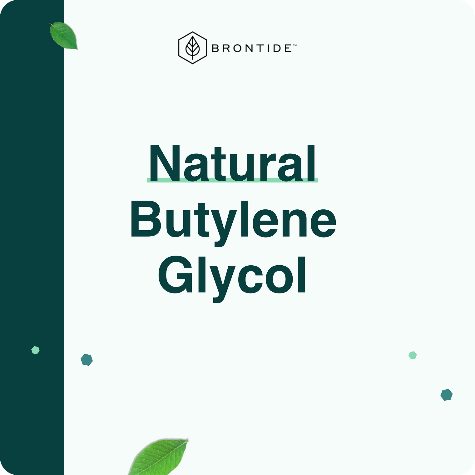 Brontide – Sustainable Biotech Web Development by Storm Brain