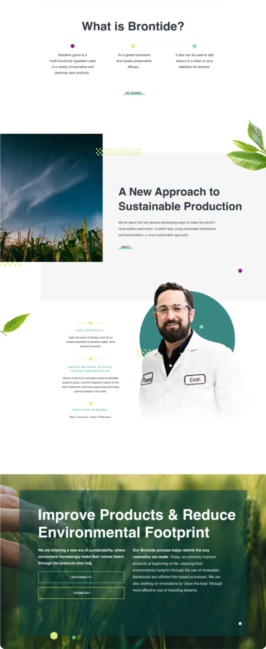 Brontide – Sustainable Biotech Web Development by Storm Brain