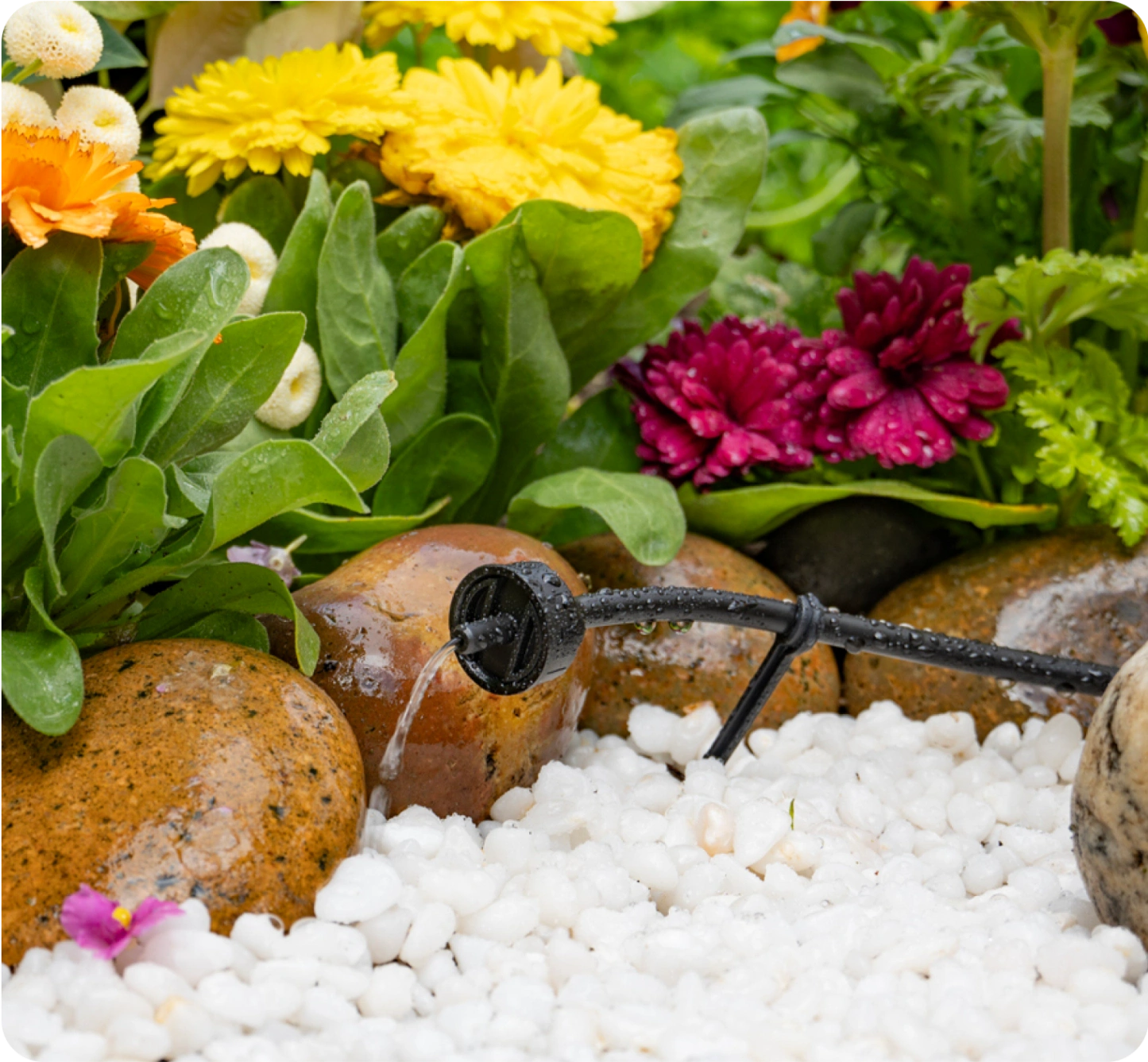 DIG Corp – B2B & B2C Product Catalog Web Development by Storm Brain